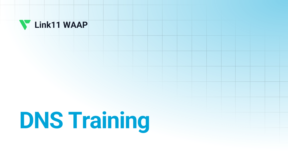 DNS Training | Link11 WAAP